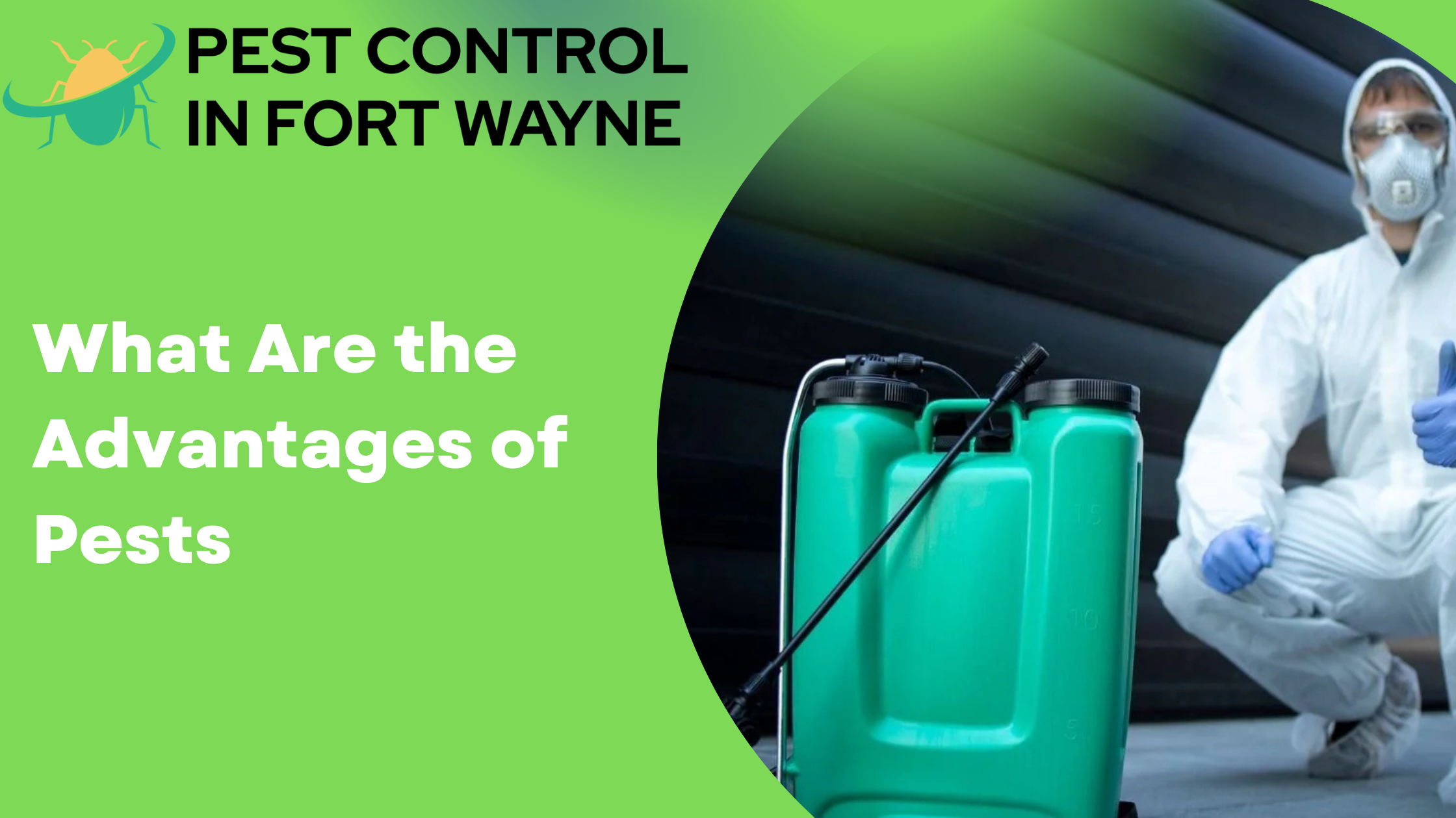 What Are the Advantages of Pests | Pest Control in Fort Wayne