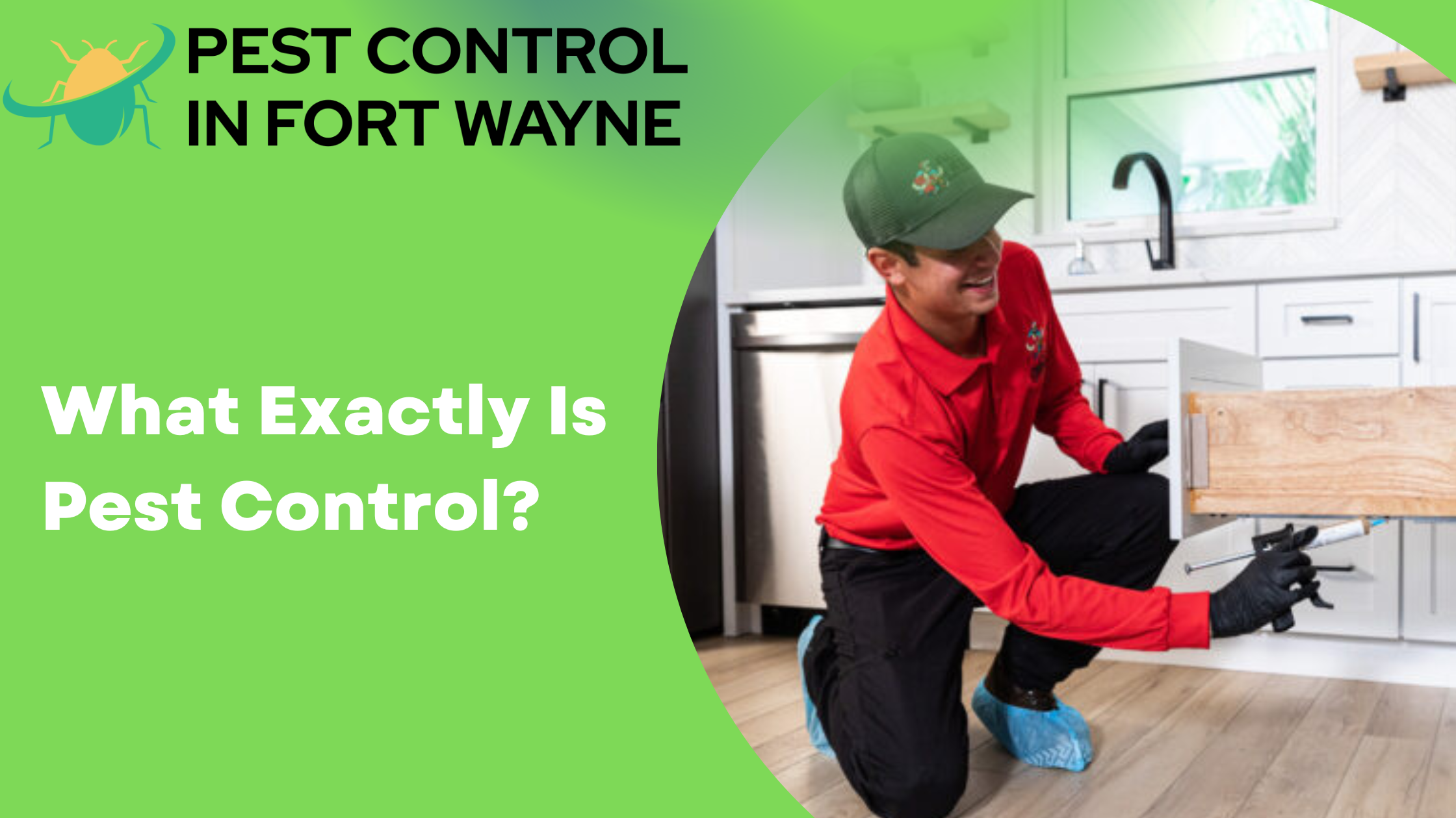 What Exactly Is Pest Control?
